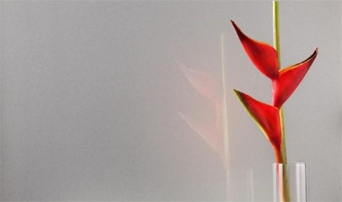 Graphite Mirror Glass Samples | Cronos Design