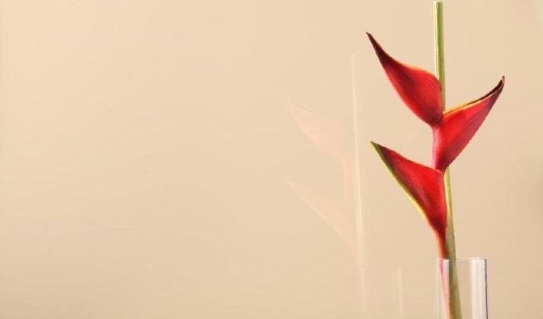 Lacobel Light Beige 1015 Glass Samples | Cronos Design